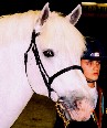 Dexter Leam Pondi, Connemara stallion, Superior Equine Sires: Frozen ...