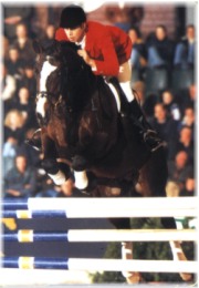 Index of /stallions_archive